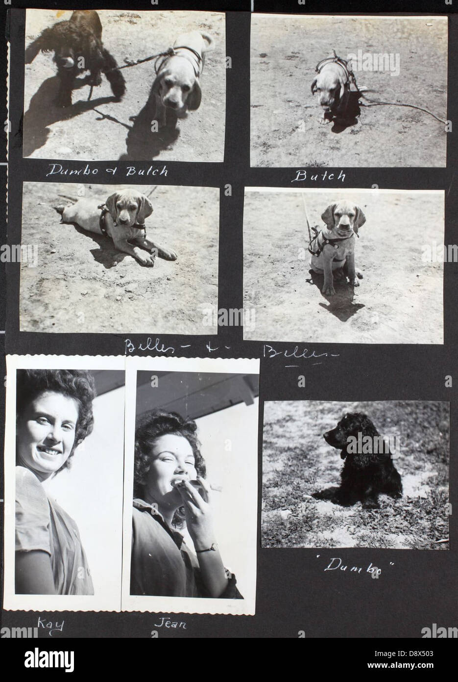 This photo from the VP102 Collection captures a PB4Y aircraft used by ...