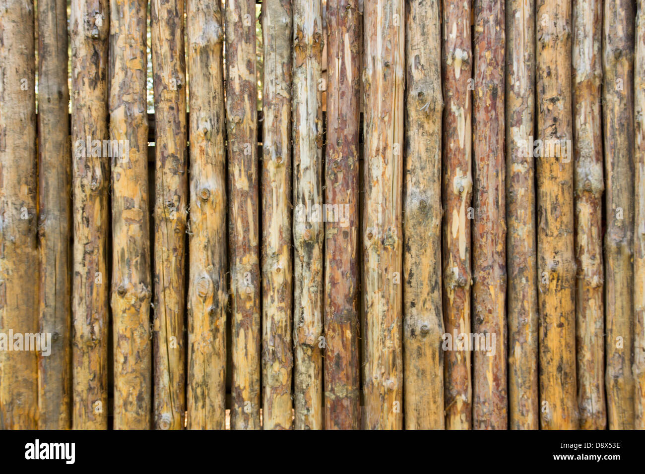 Wall of raw logs texture close up horizontal, traditional country house ...