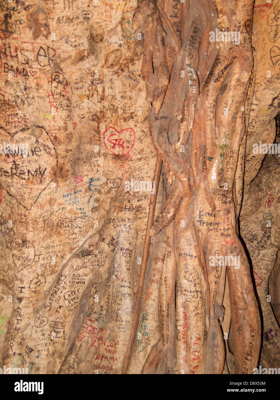 Graffiti Tree with inscriptions expressing love on roots and branches ...