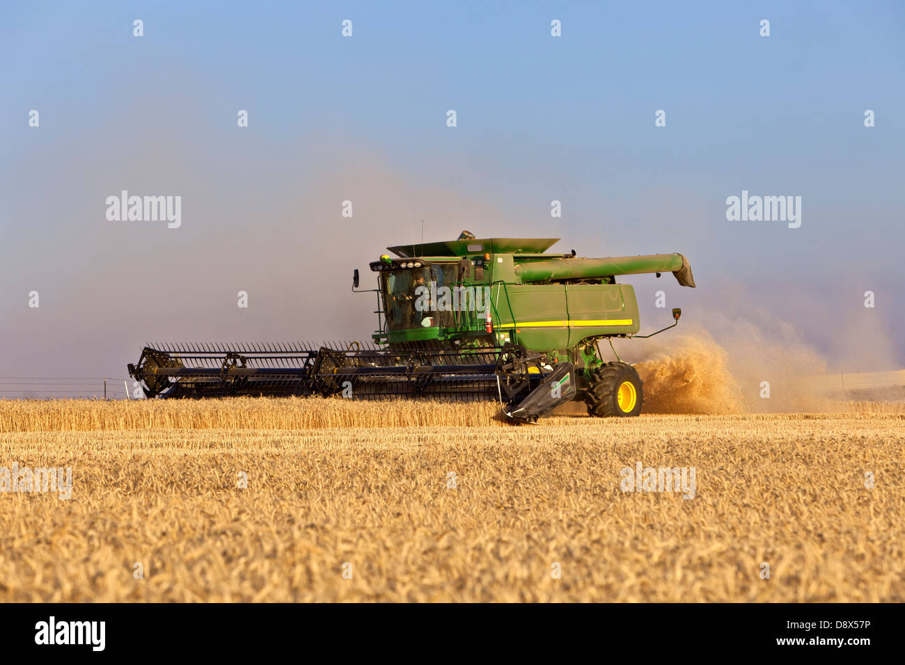 John deere combine harvester harvesting wheat hi-res stock photography ...