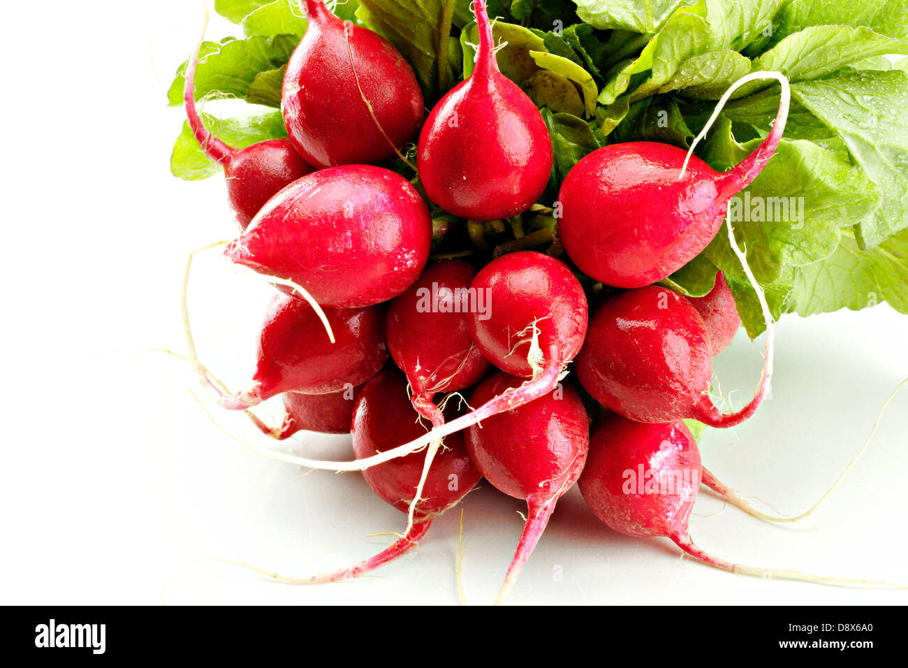 Bunch of Red Garden Radish with Leaves on white background Stock Photo ...