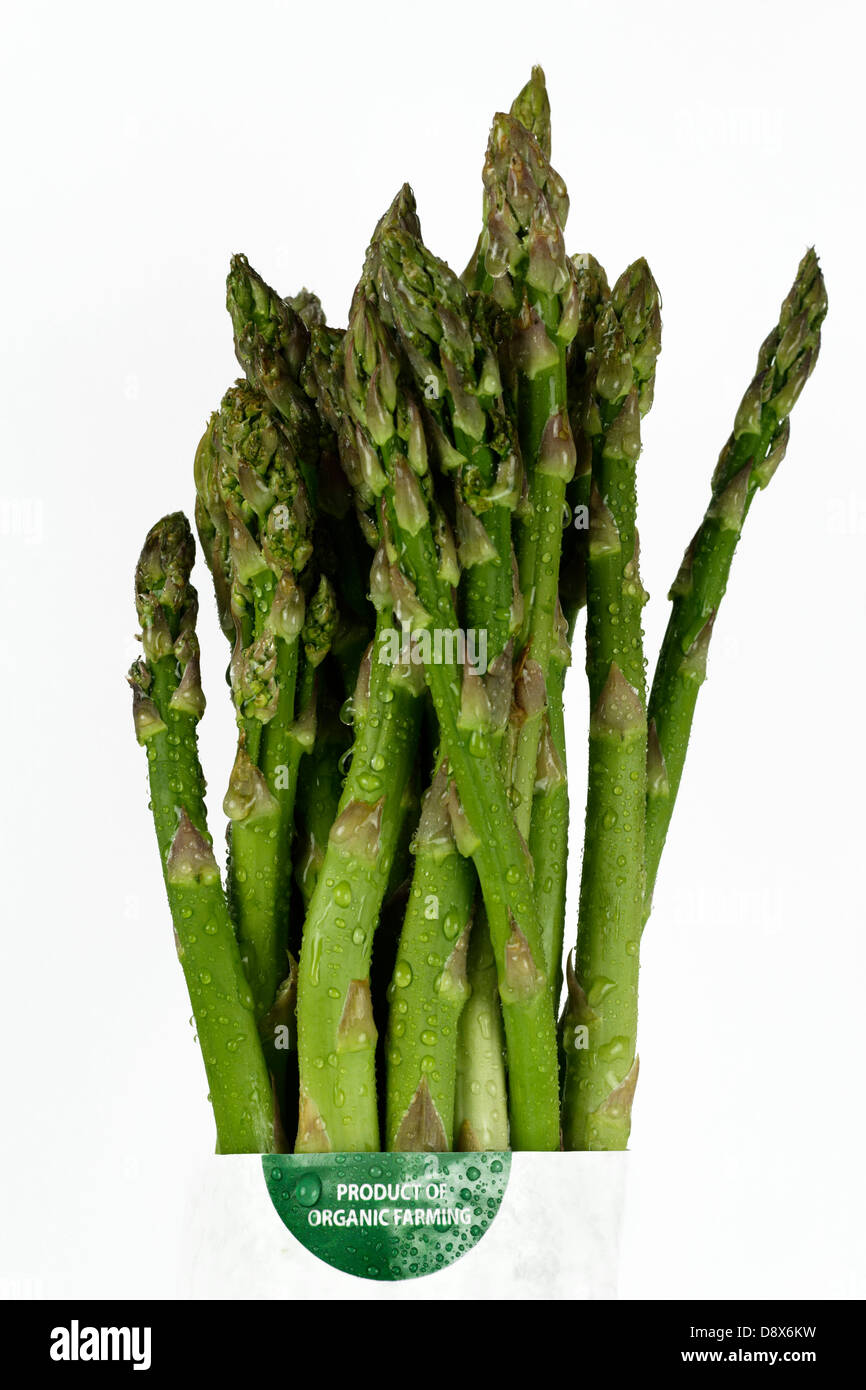 Bundle of Organic Asparagus Stock Photo - Alamy