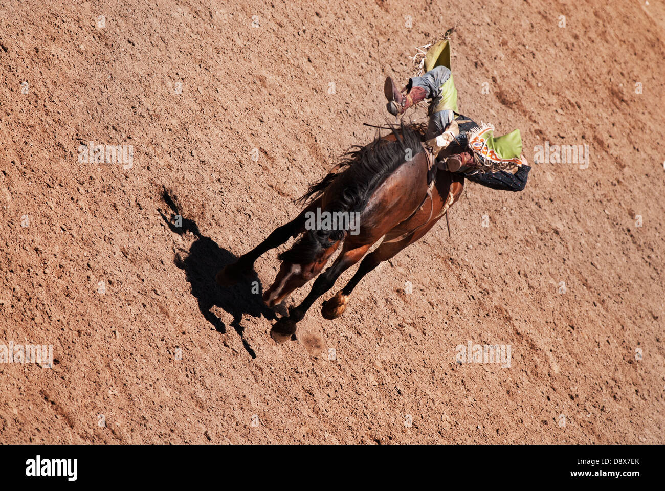 Cowboys riding bronco horses in a rodeo competition Stock Photo - Alamy