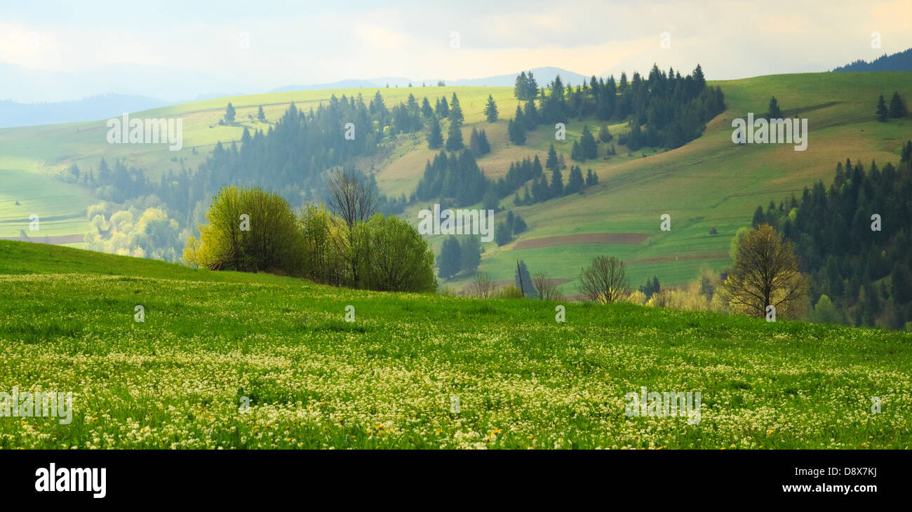 Early morning landscape hi-res stock photography and images - Alamy