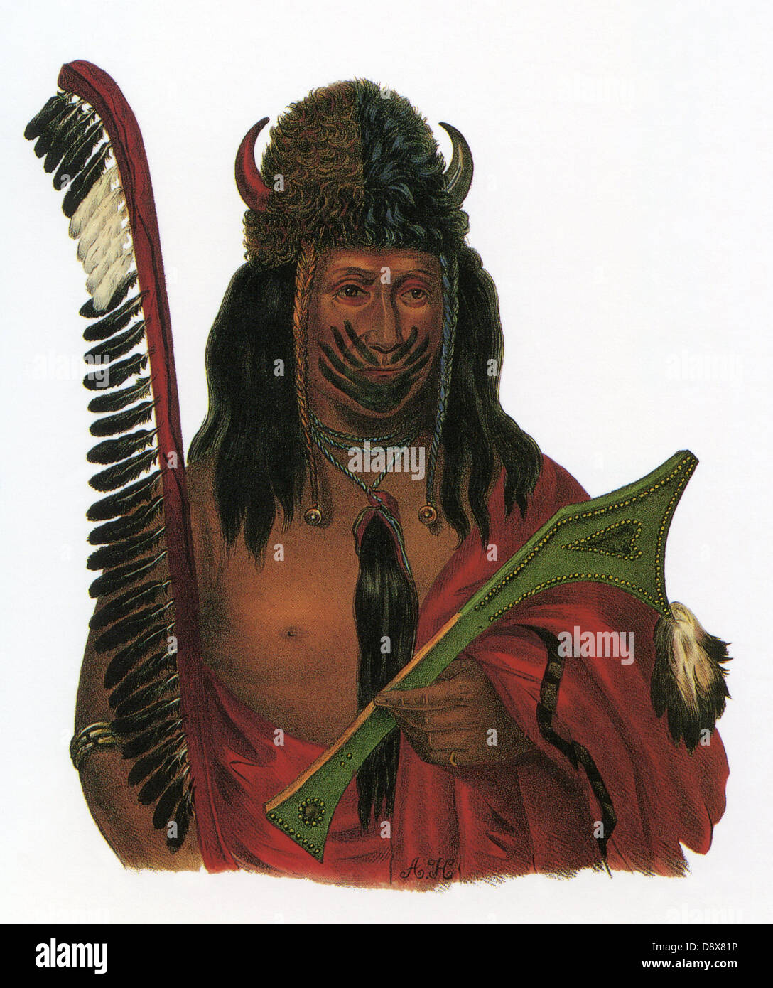 Fox tribe hi-res stock photography and images - Alamy