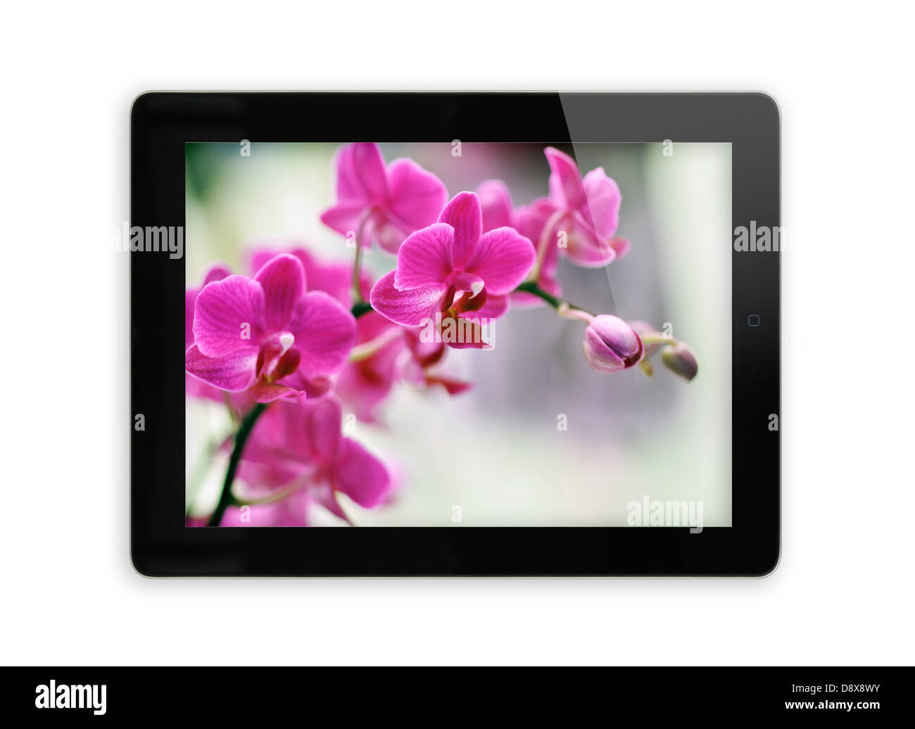 iPad screen showing photo Stock Photo - Alamy