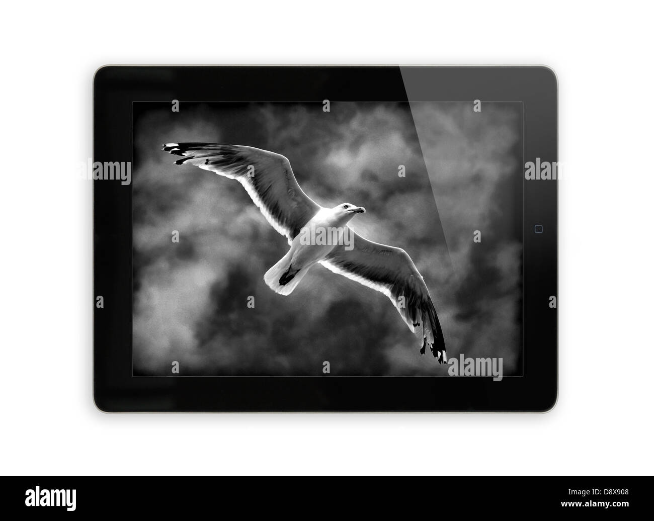 Ipad screen Black and White Stock Photos & Images - Alamy