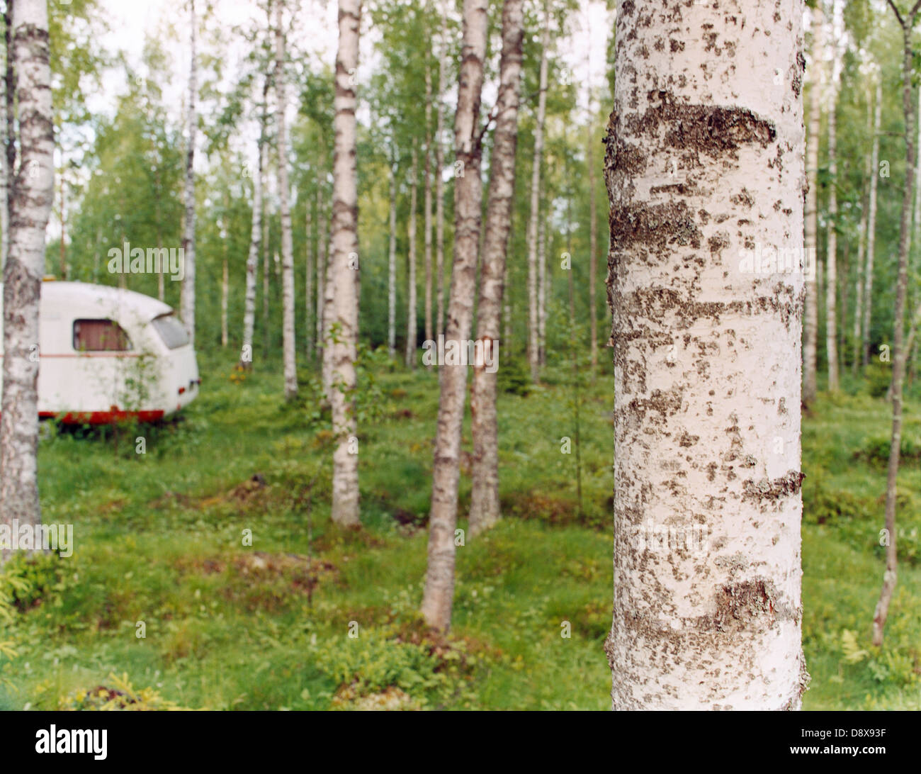 A caravan in a forest, Sweden Stock Photo - Alamy