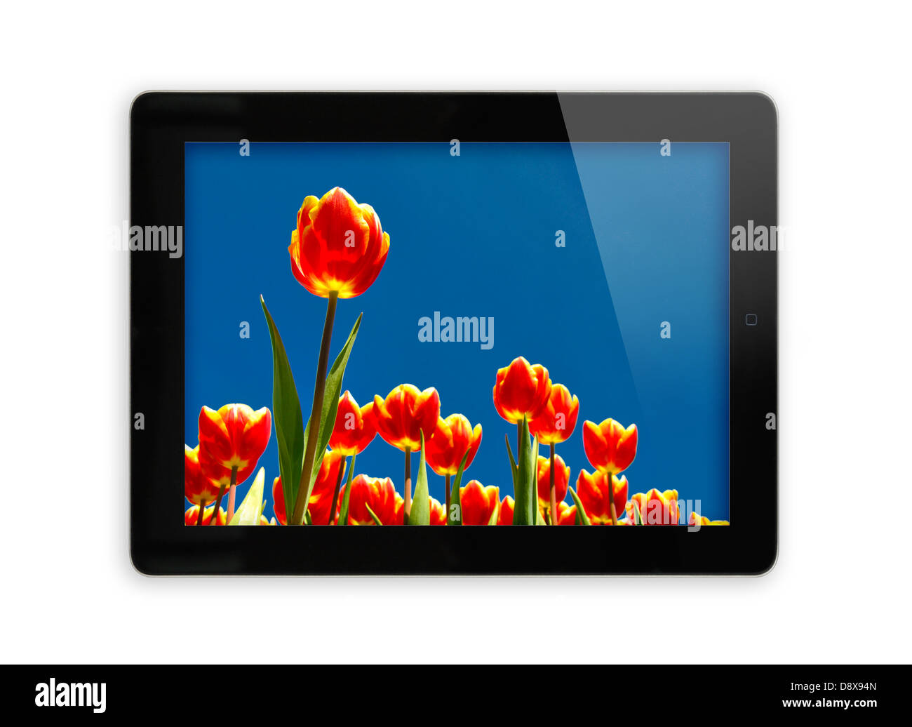 iPad screen showing photo Stock Photo - Alamy
