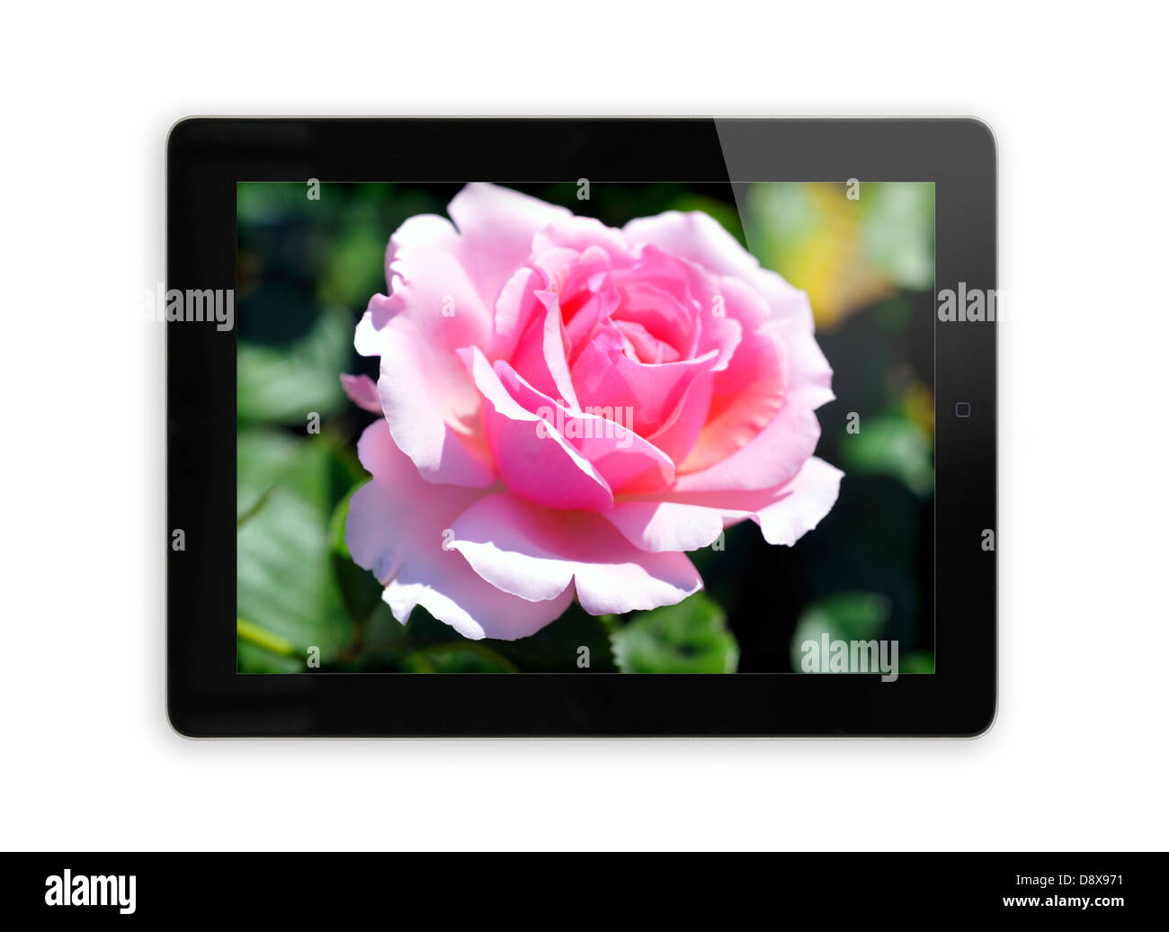 iPad screen showing photo Stock Photo - Alamy