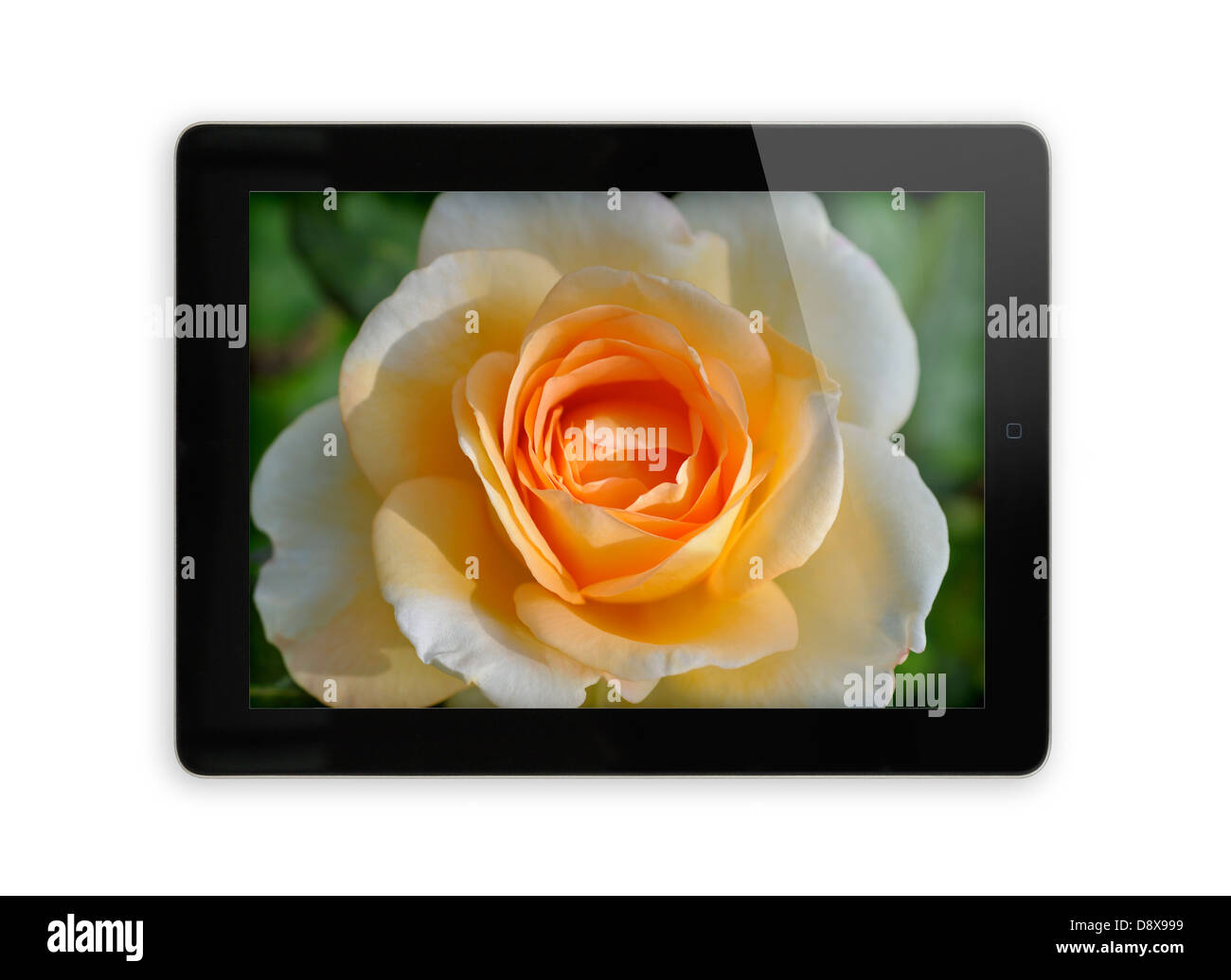 iPad screen showing photo Stock Photo - Alamy