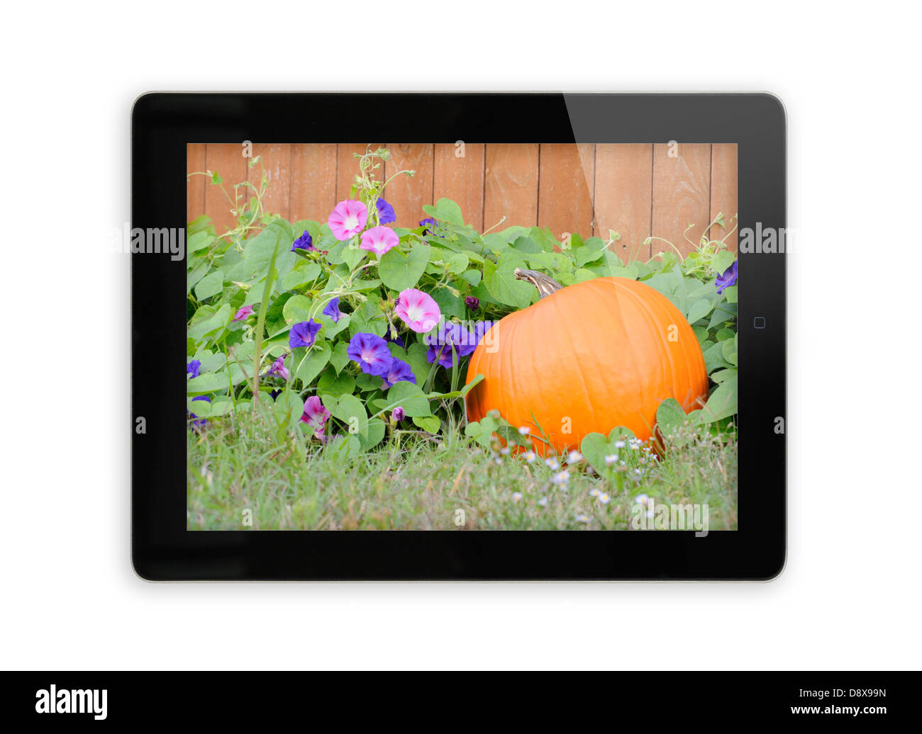 iPad screen showing photo Stock Photo - Alamy