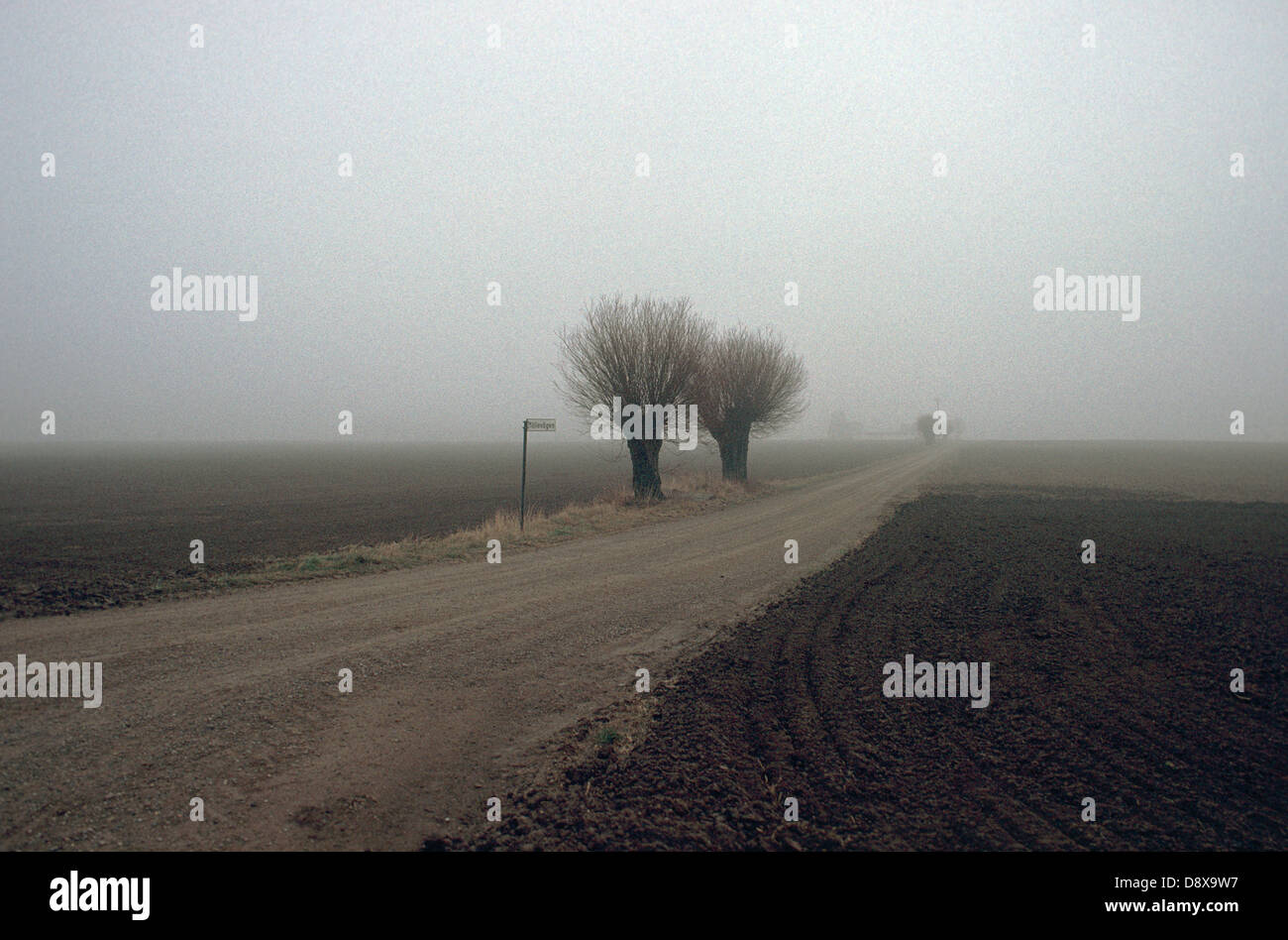 Fog over Fields in the Countryside Stock Photo - Alamy