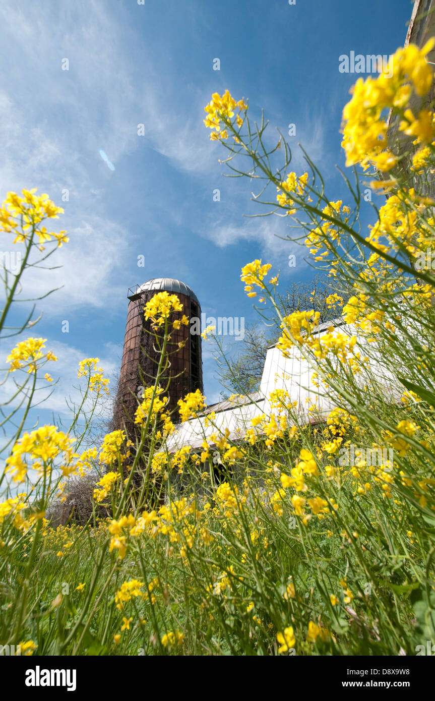 Spring on a farm in rural Carroll County, Maryland USA Stock Photo - Alamy