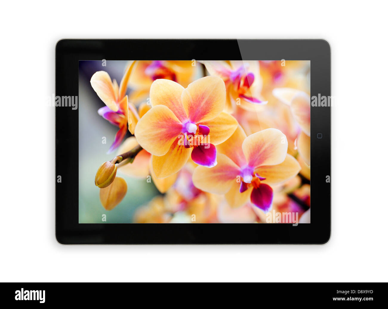 iPad screen showing photo Stock Photo - Alamy