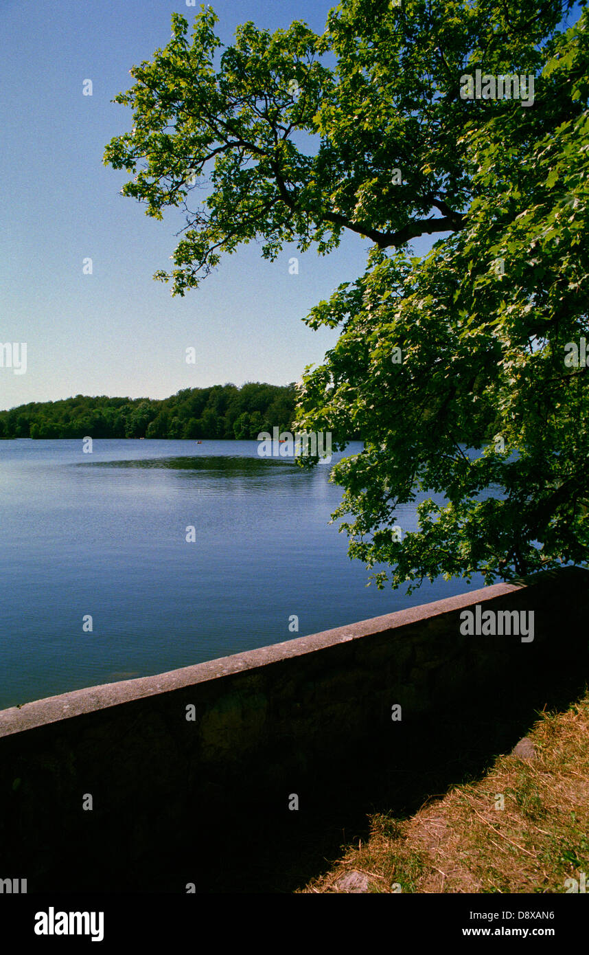 A tree by the water Stock Photo - Alamy