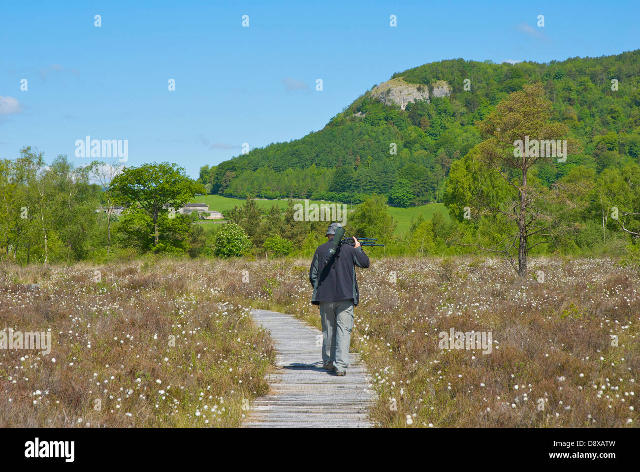 Foulshaw moss boardwalk hi-res stock photography and images - Alamy