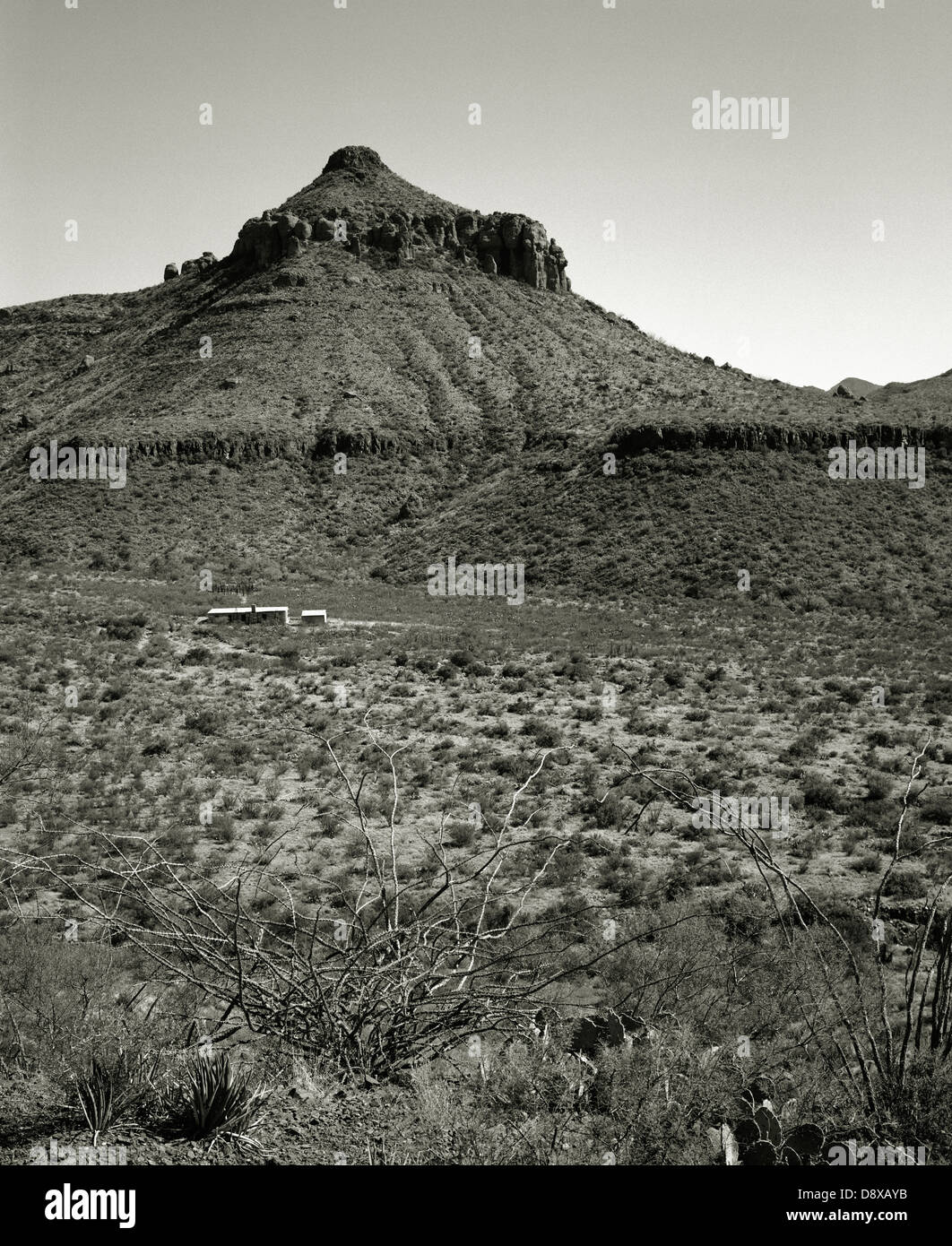 Black and white desert scene hi-res stock photography and images - Alamy