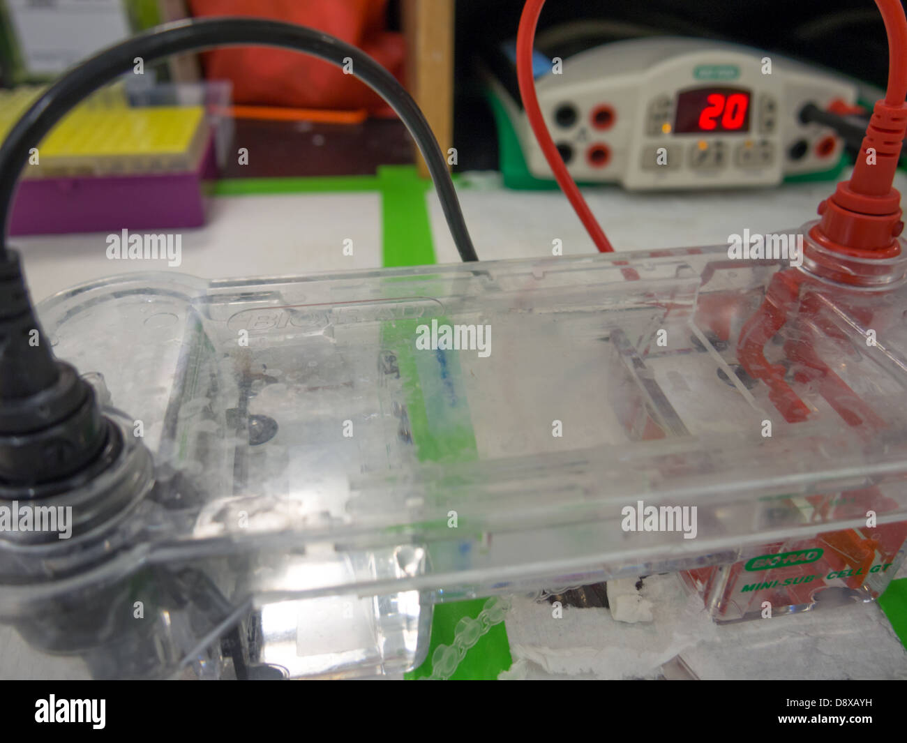 gel electrophoresis machine Stock Photo - Alamy