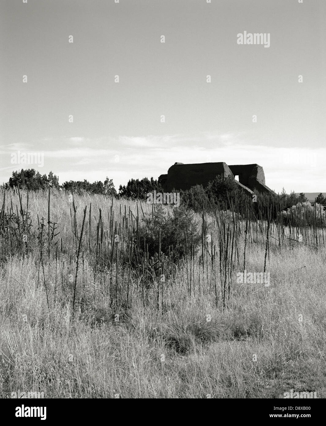Built structure in field (B&W Stock Photo - Alamy