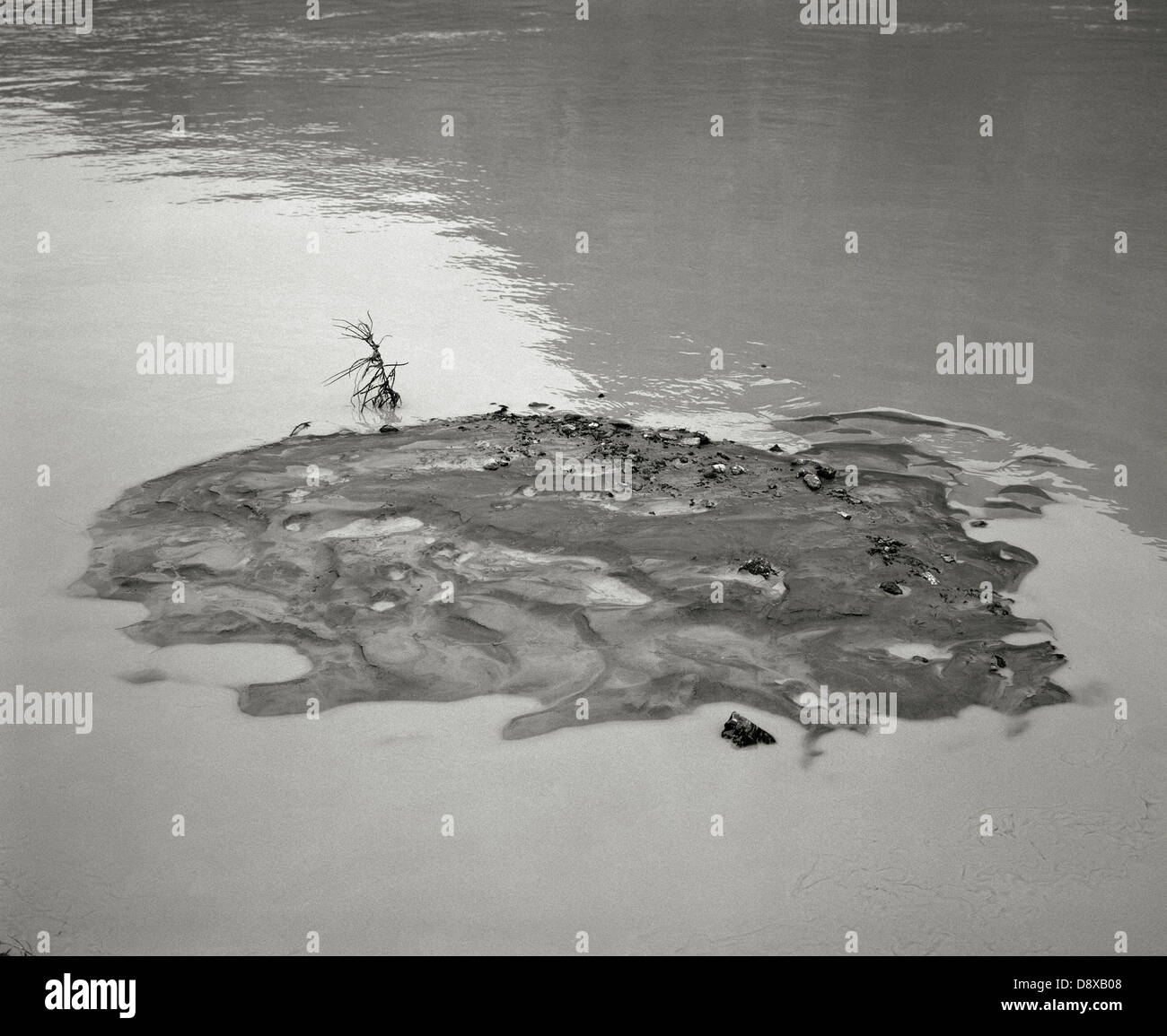 Mud surrounded by water (B&W Stock Photo - Alamy