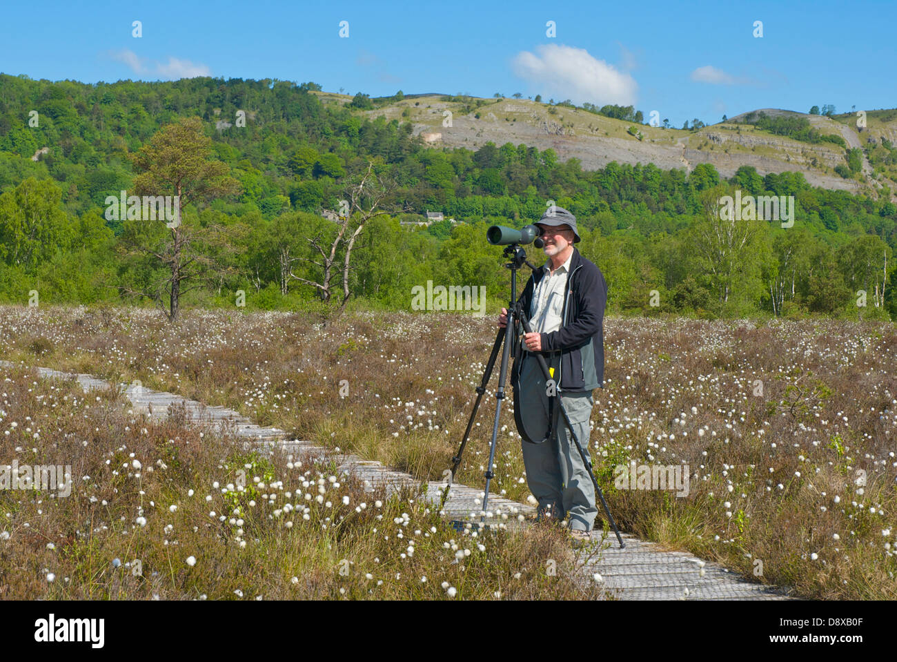 Bird-watcher at Foulshaw Moss, one of Cumbria Wildlife Trust's nature ...
