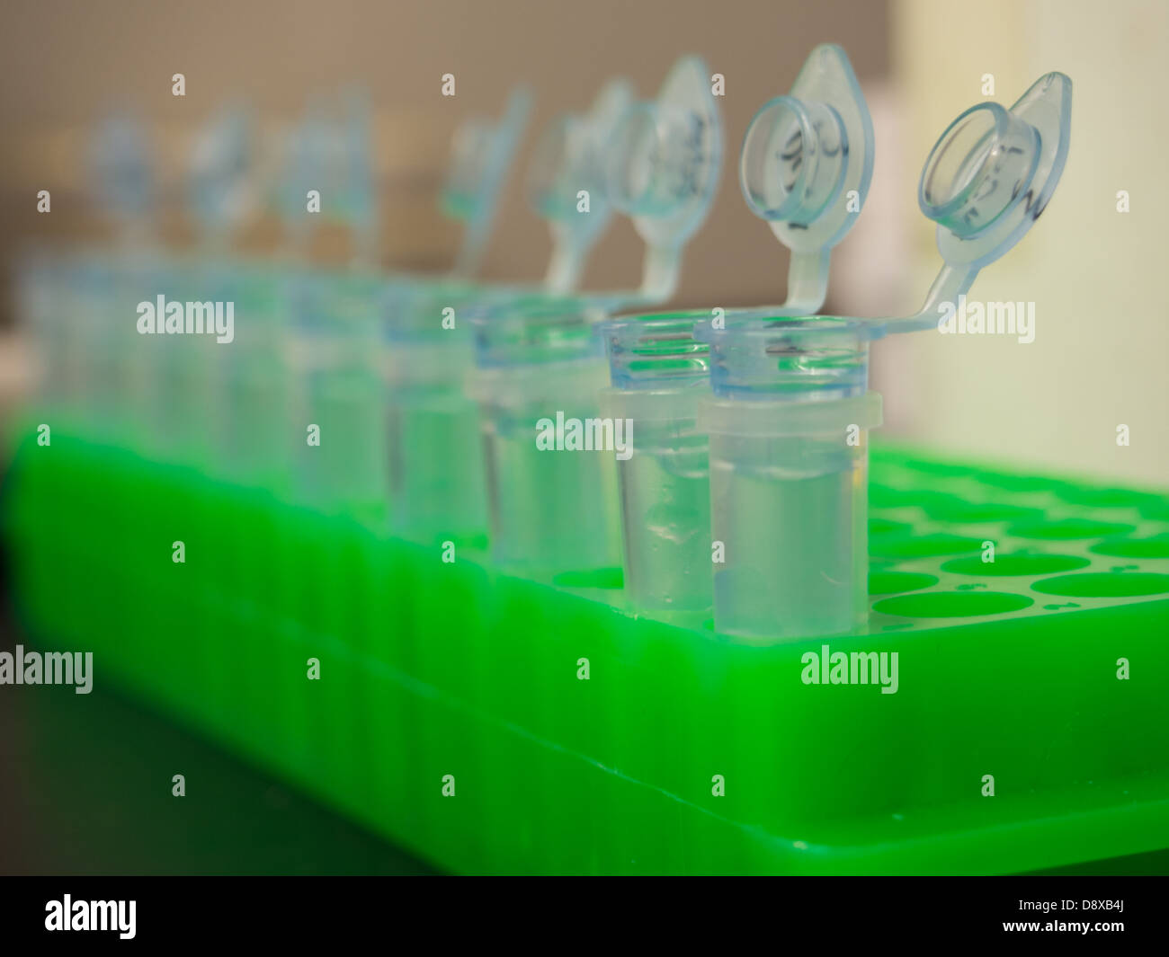open test tubes in holder Stock Photo - Alamy