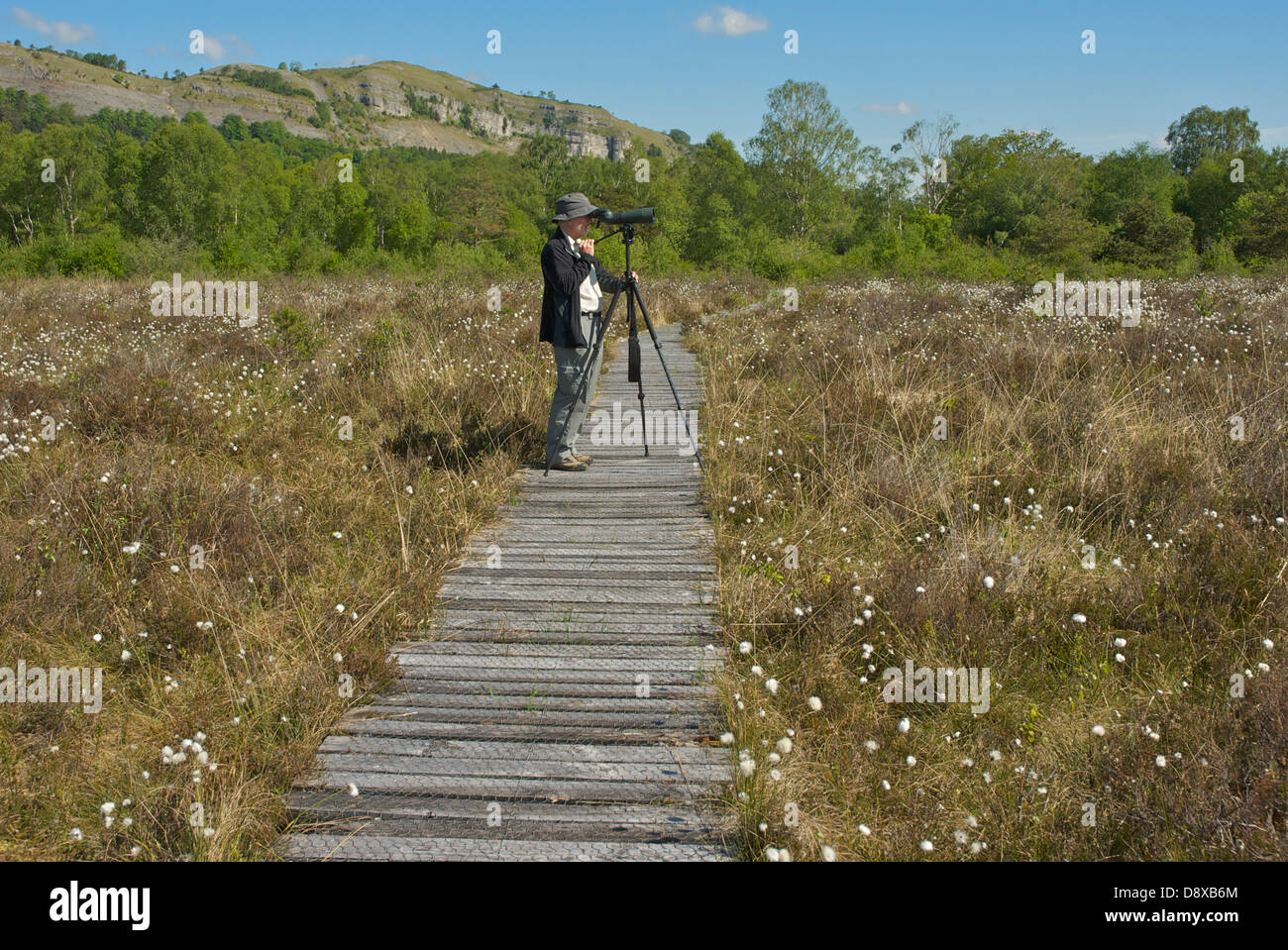 Bird-watcher at Foulshaw Moss, one of Cumbria Wildlife Trust's nature ...