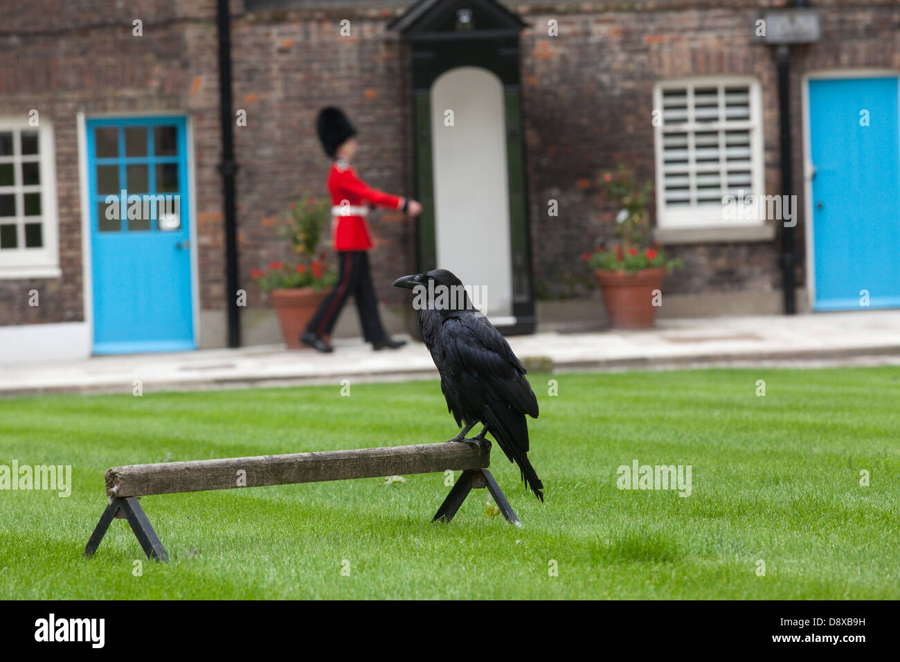 Welsh guard hi-res stock photography and images - Alamy