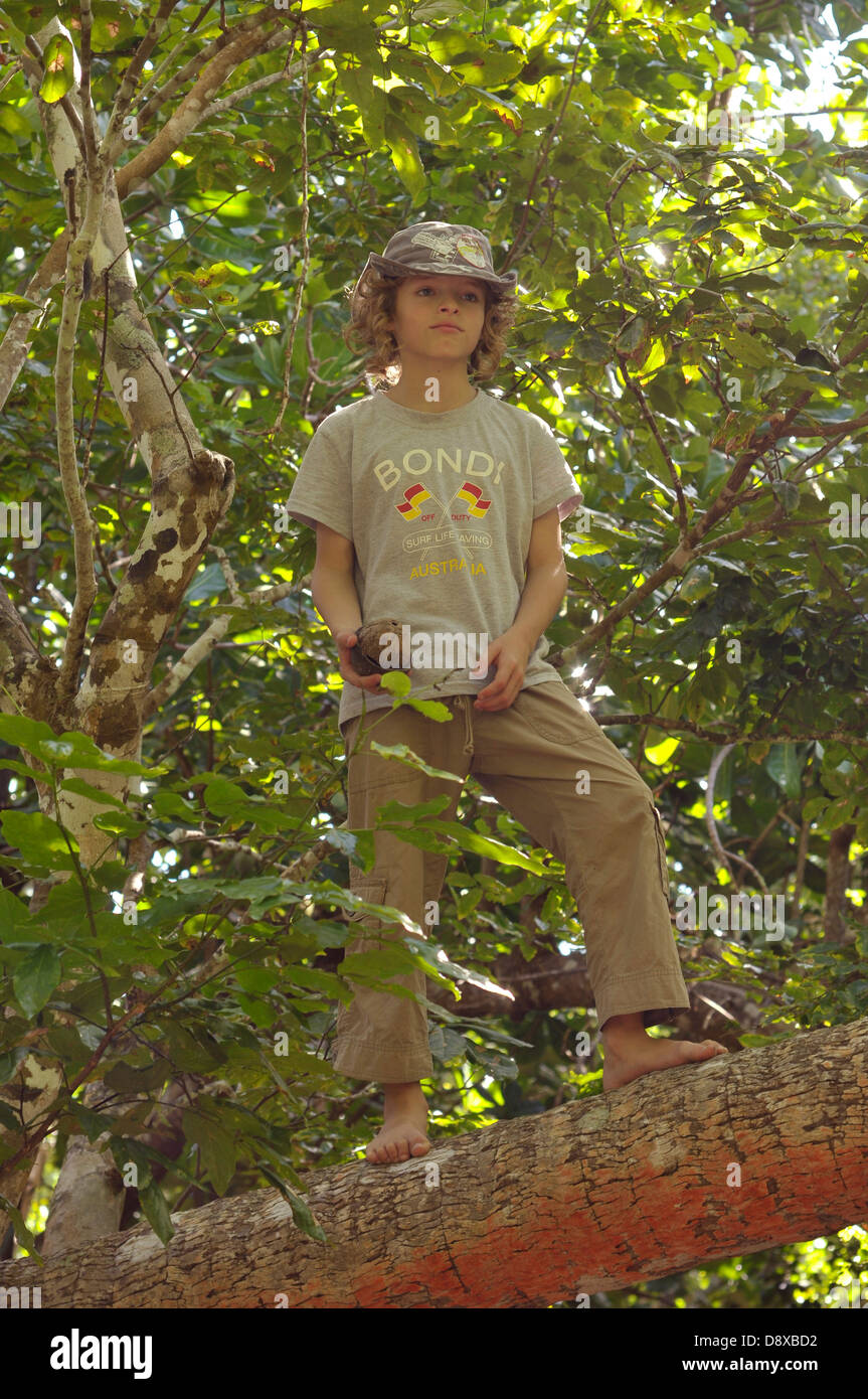Boy standing on a tree branch Stock Photo - Alamy