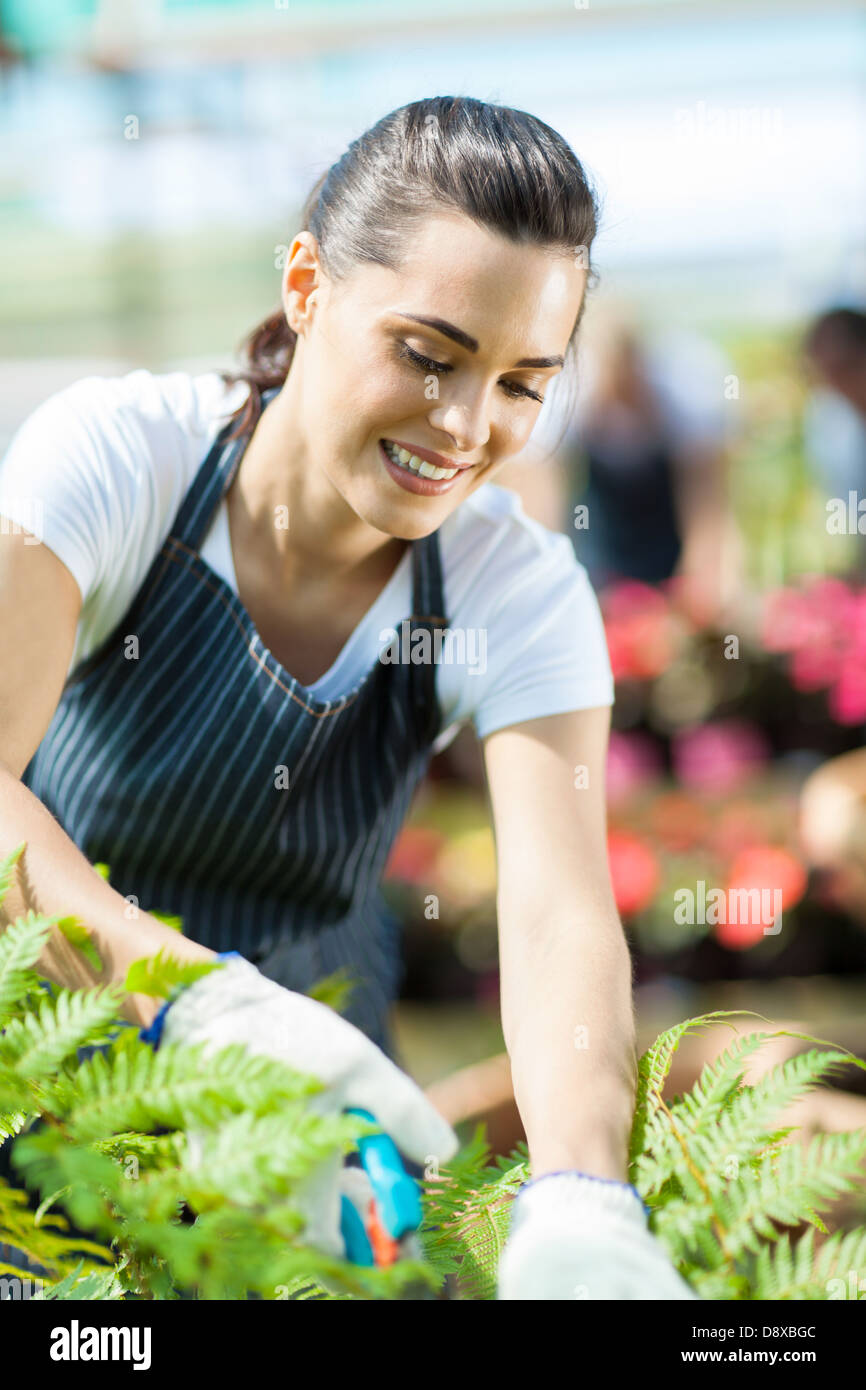 pretty female gardener working inside greenhouse Stock Photo - Alamy