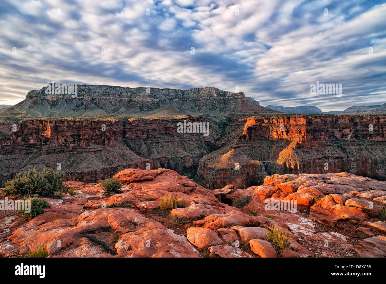 First light on the North Rim at remote Toroweap Overlook in Arizona's ...