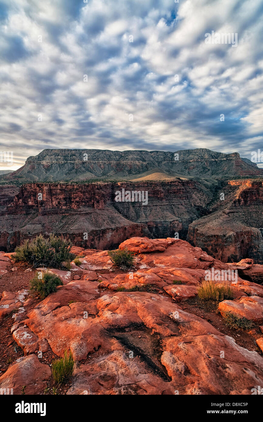 First light on the North Rim at remote Toroweap Overlook in Arizona's ...
