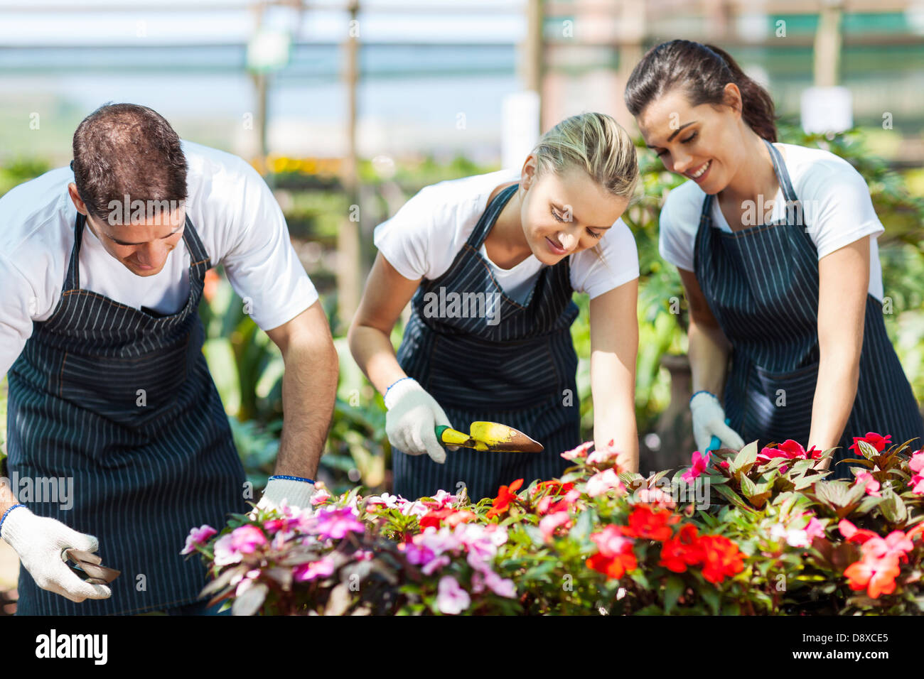 Group gardeners hi-res stock photography and images - Alamy