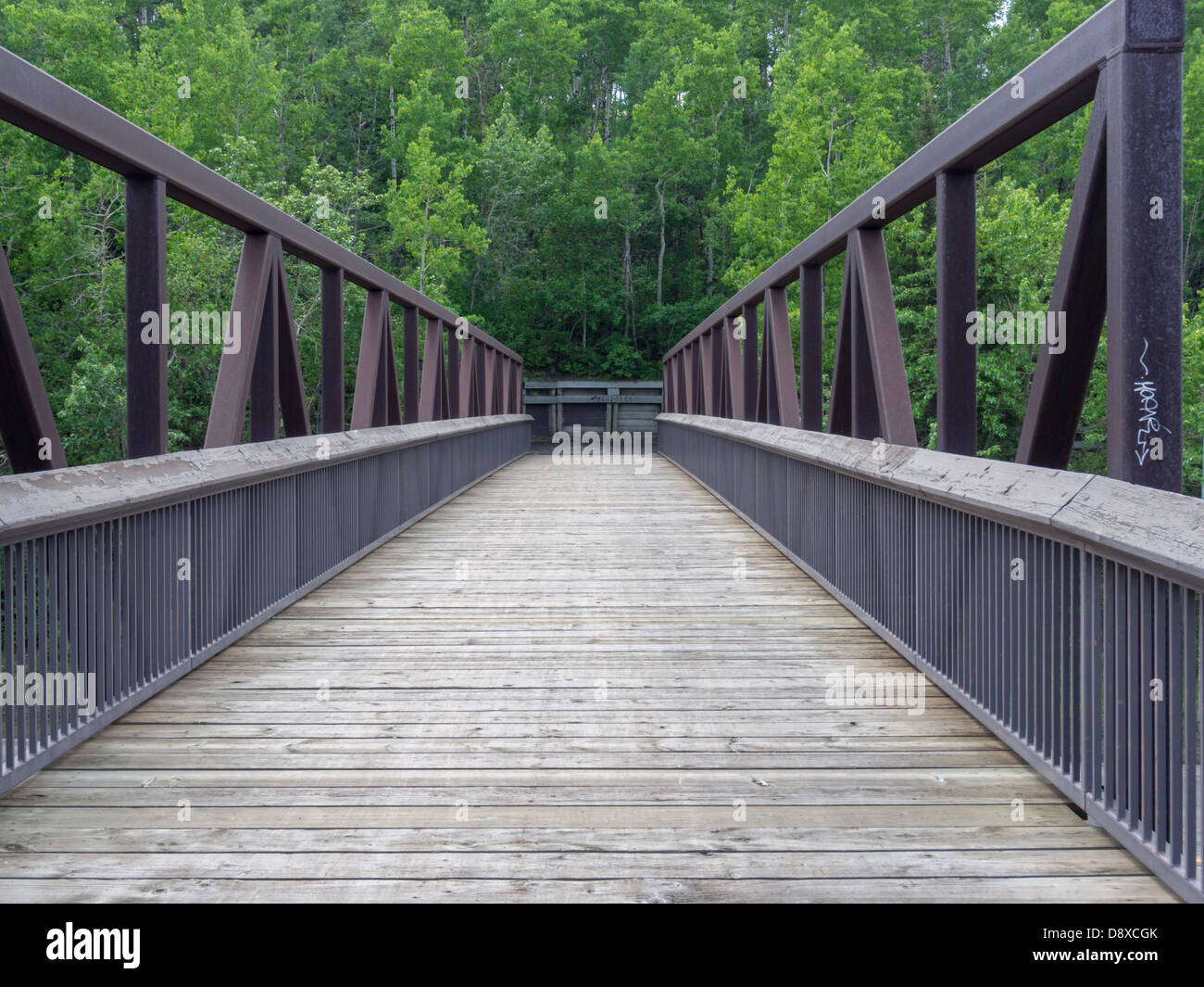 old wooden bridge into forest Stock Photo - Alamy