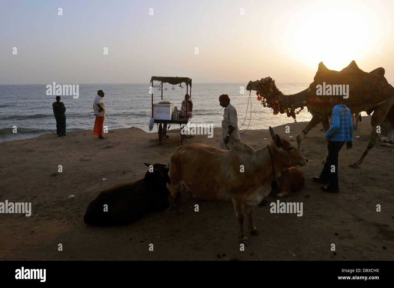 The historic city of Dwarka, India Stock Photo - Alamy