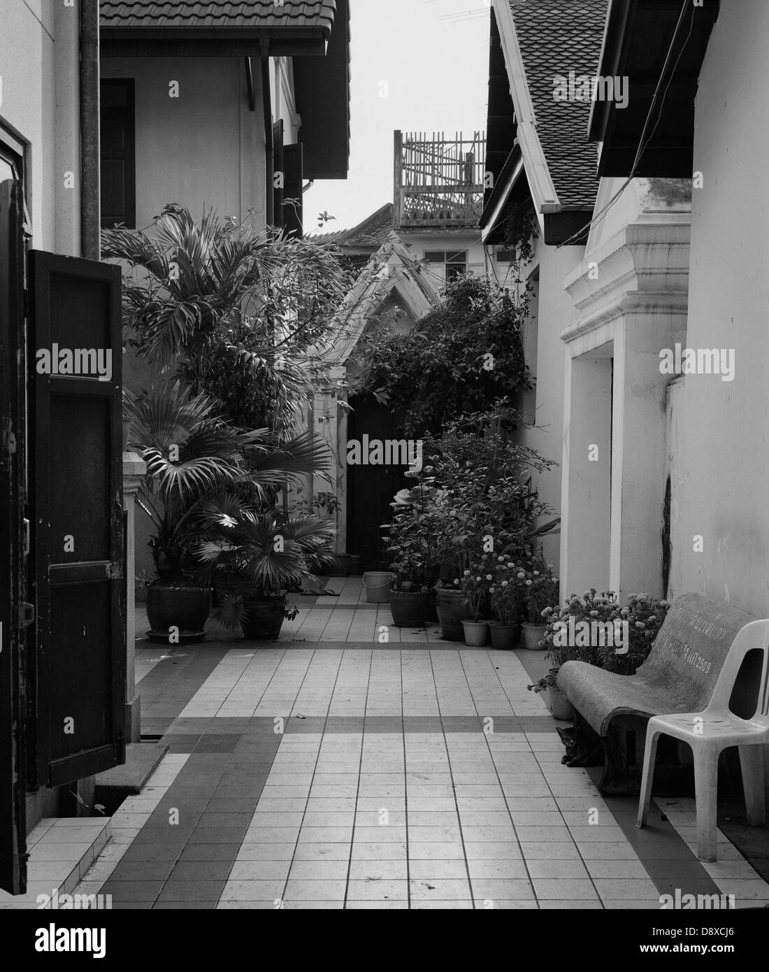 Garden potted plant Black and White Stock Photos & Images - Alamy