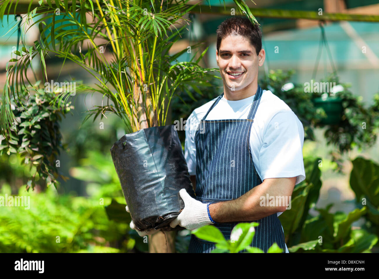 Carry nursery hi-res stock photography and images - Alamy