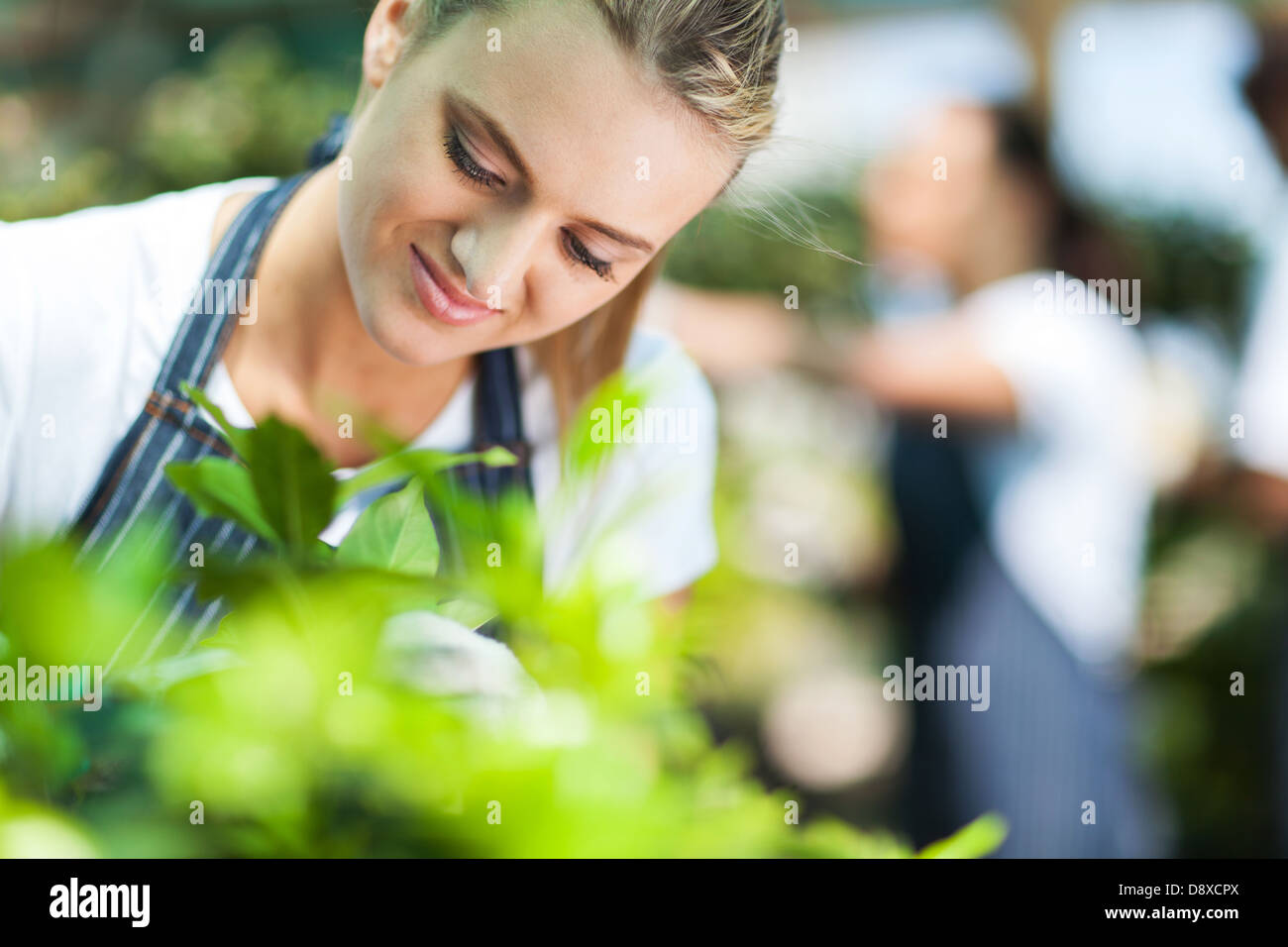Beautiful pretty florist woman hi-res stock photography and images - Alamy