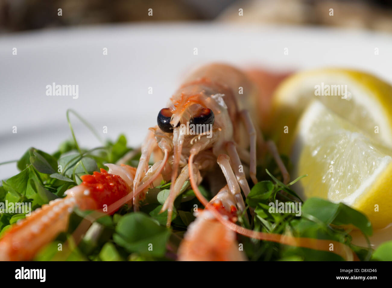 Fishing fish ireland trawler dublin hi-res stock photography and images ...