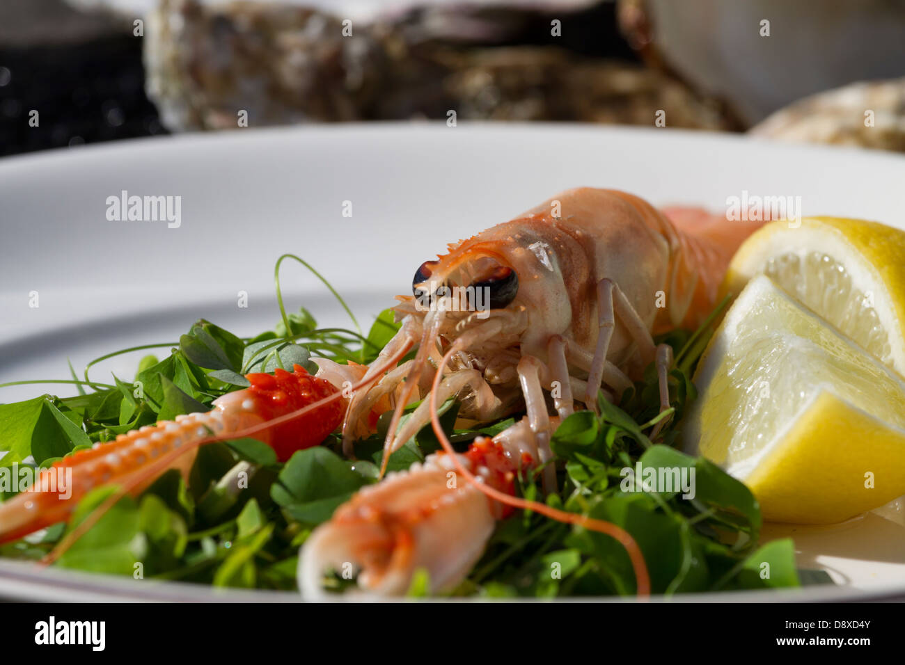 Fishing fish ireland trawler dublin hi-res stock photography and images ...