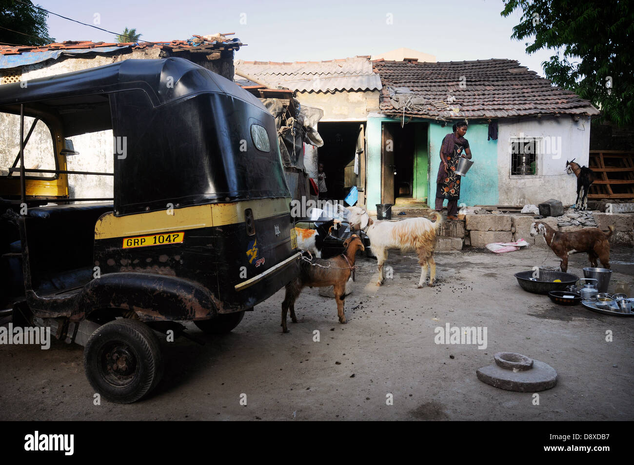Afro-Indians, called Sidis, living on the west coast of India Stock ...