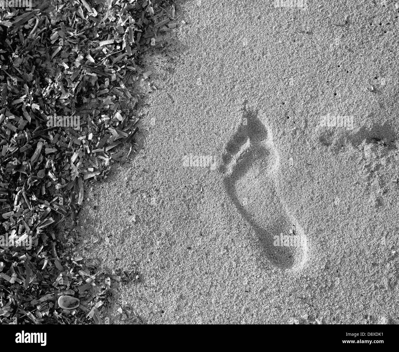 Footprint on sand, directly above, close-up (B&W Stock Photo - Alamy