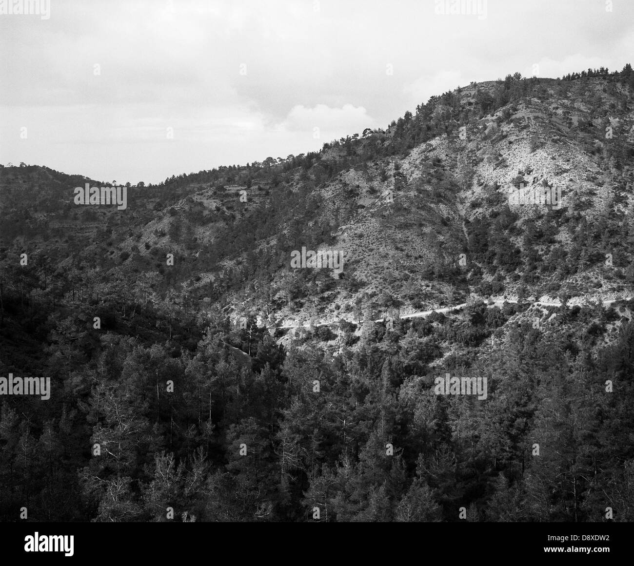 View mountain road in forest Black and White Stock Photos & Images - Alamy
