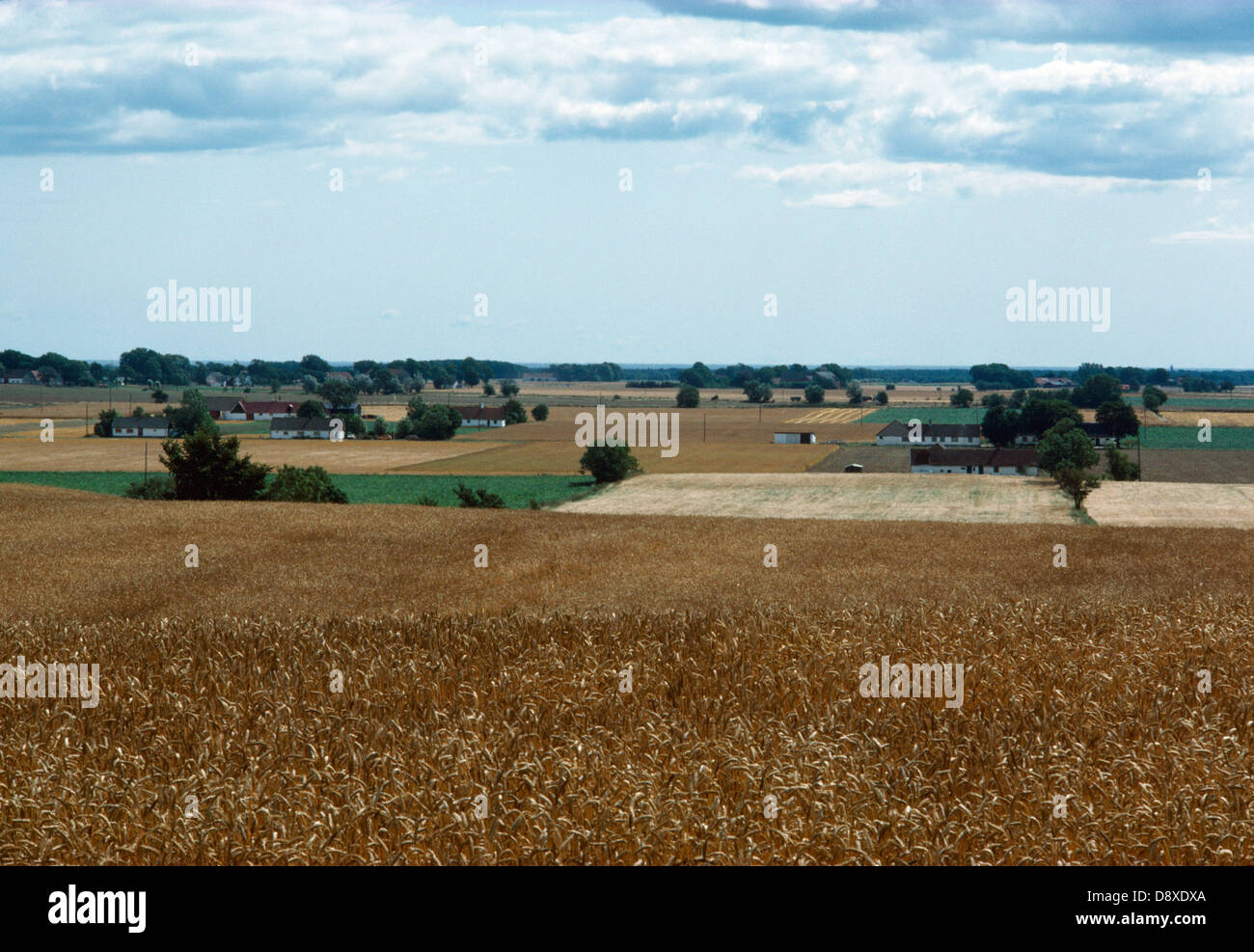Skane sweden fields hi-res stock photography and images - Alamy