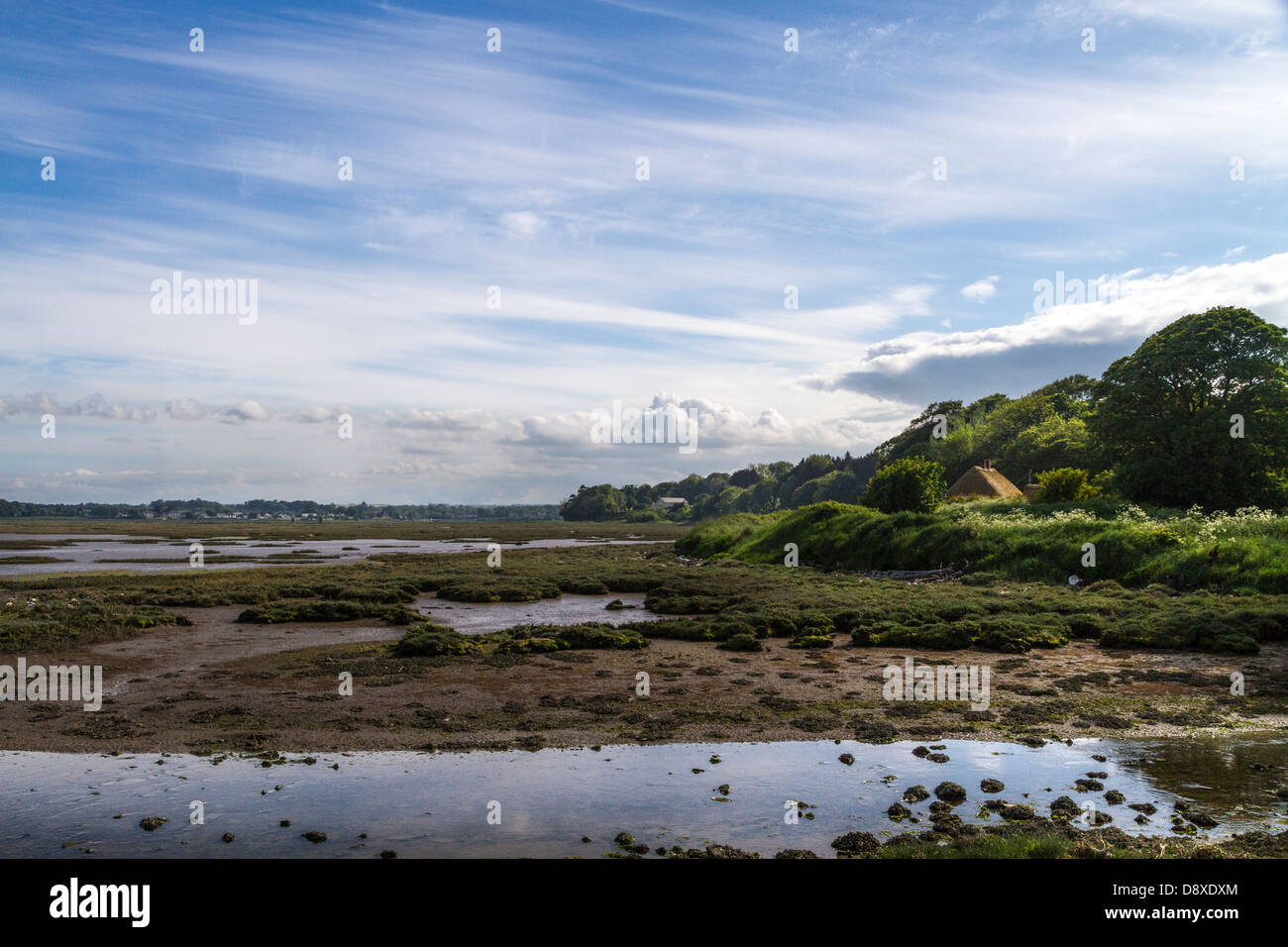The Boyne River estuary at Baltray, Louth, Ireland Stock Photo - Alamy