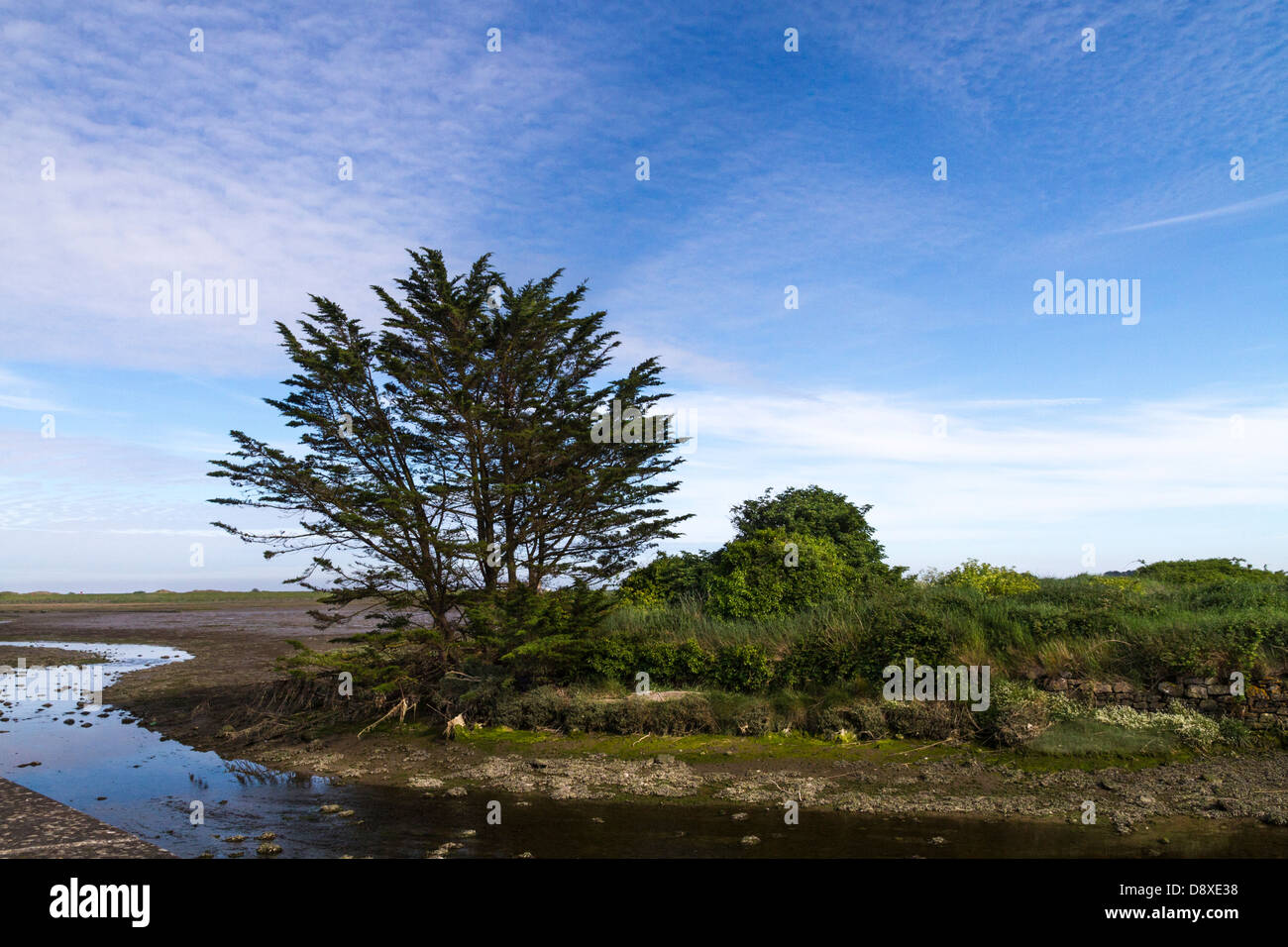 The Boyne River estuary at Baltray, Louth, Ireland Stock Photo - Alamy