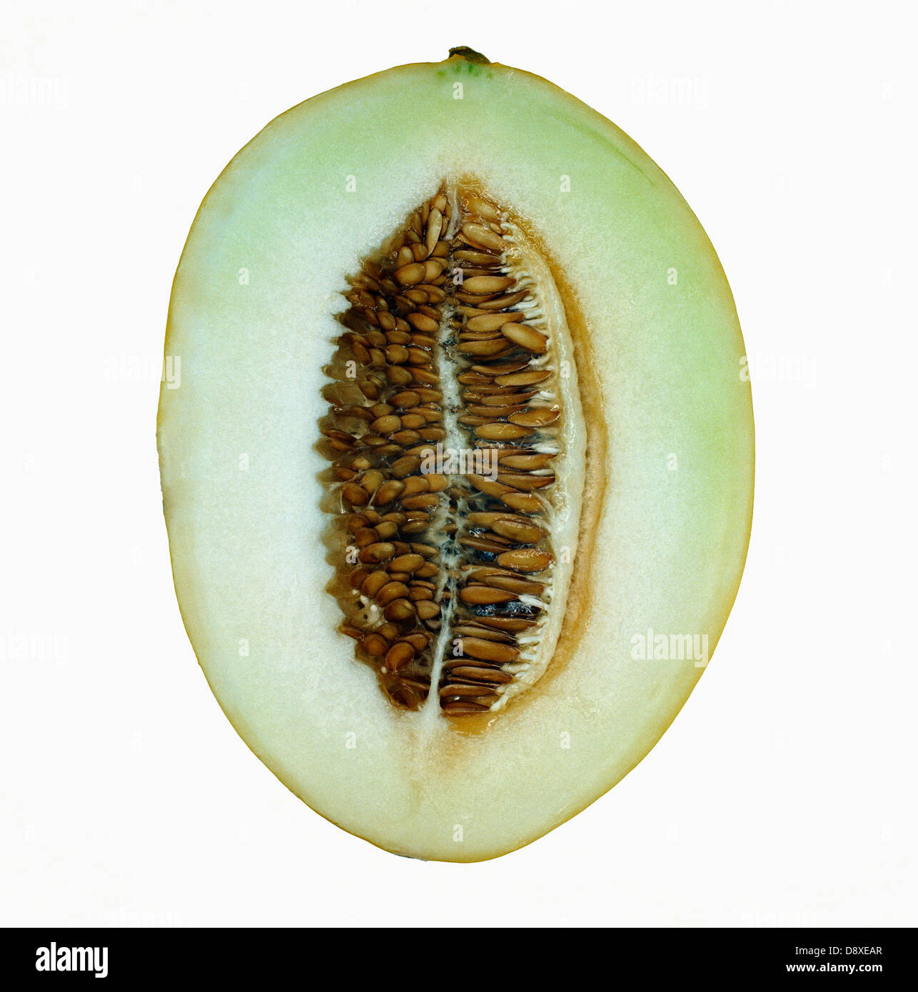 Melon cross section hi-res stock photography and images - Alamy