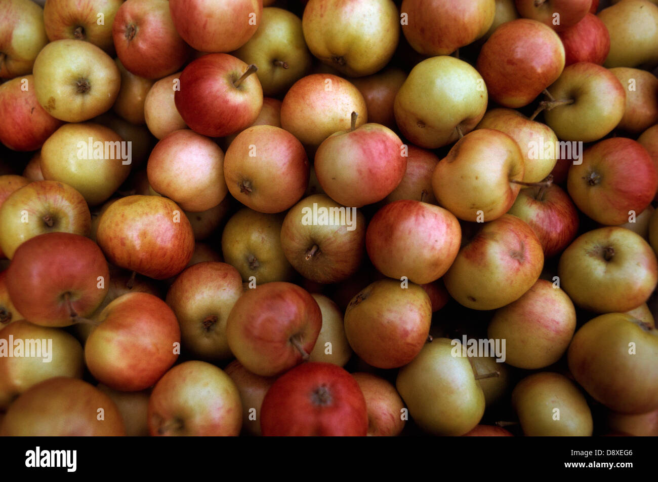 A lot of apples Stock Photo - Alamy