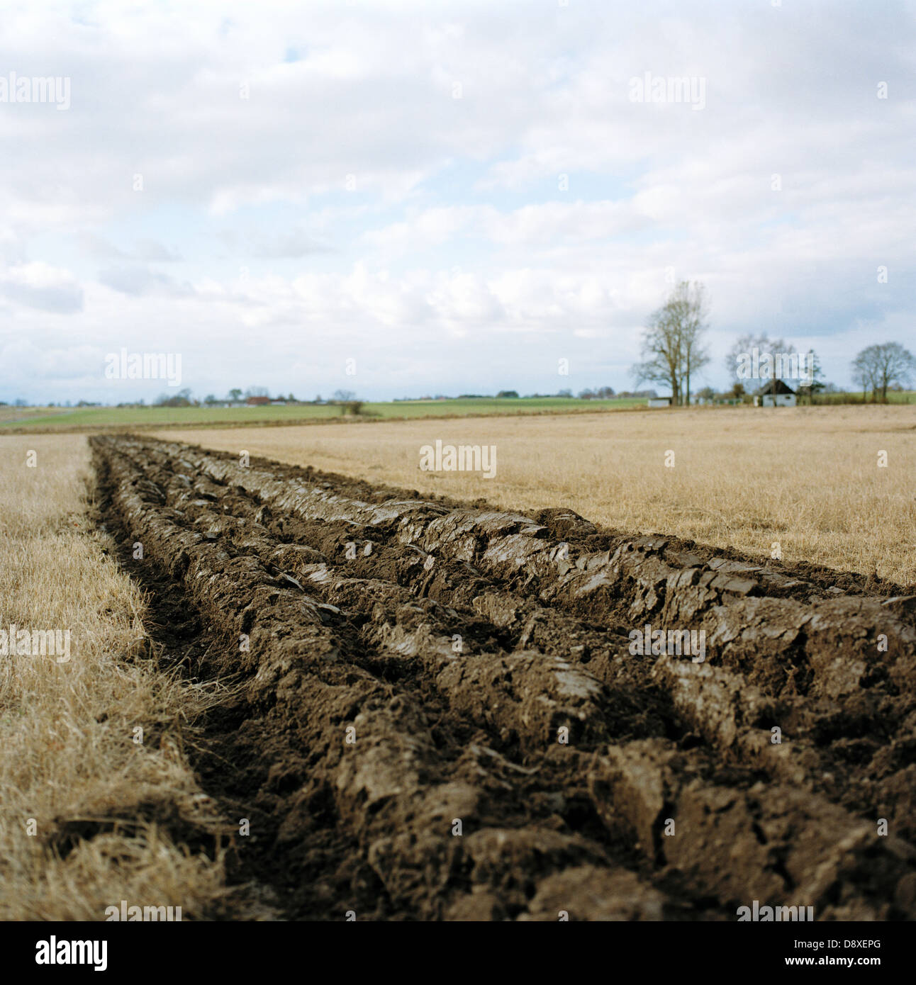 Tracks in a Field Stock Photo - Alamy